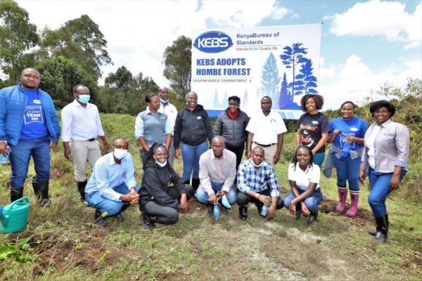 KEBS Adopts Hombe Forest in Mt.Kenya – Kenya Bureau of Standards